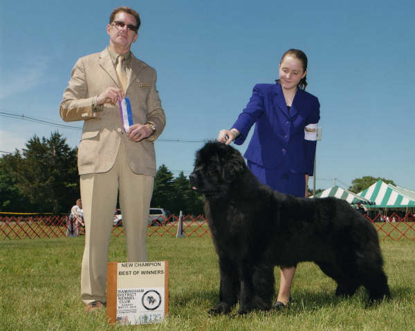 Tempest Newfoundlands: Kelly's Page